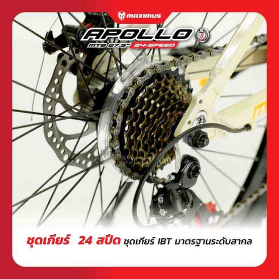 MAXI Apollo 27.5 IVORY | AllOnline