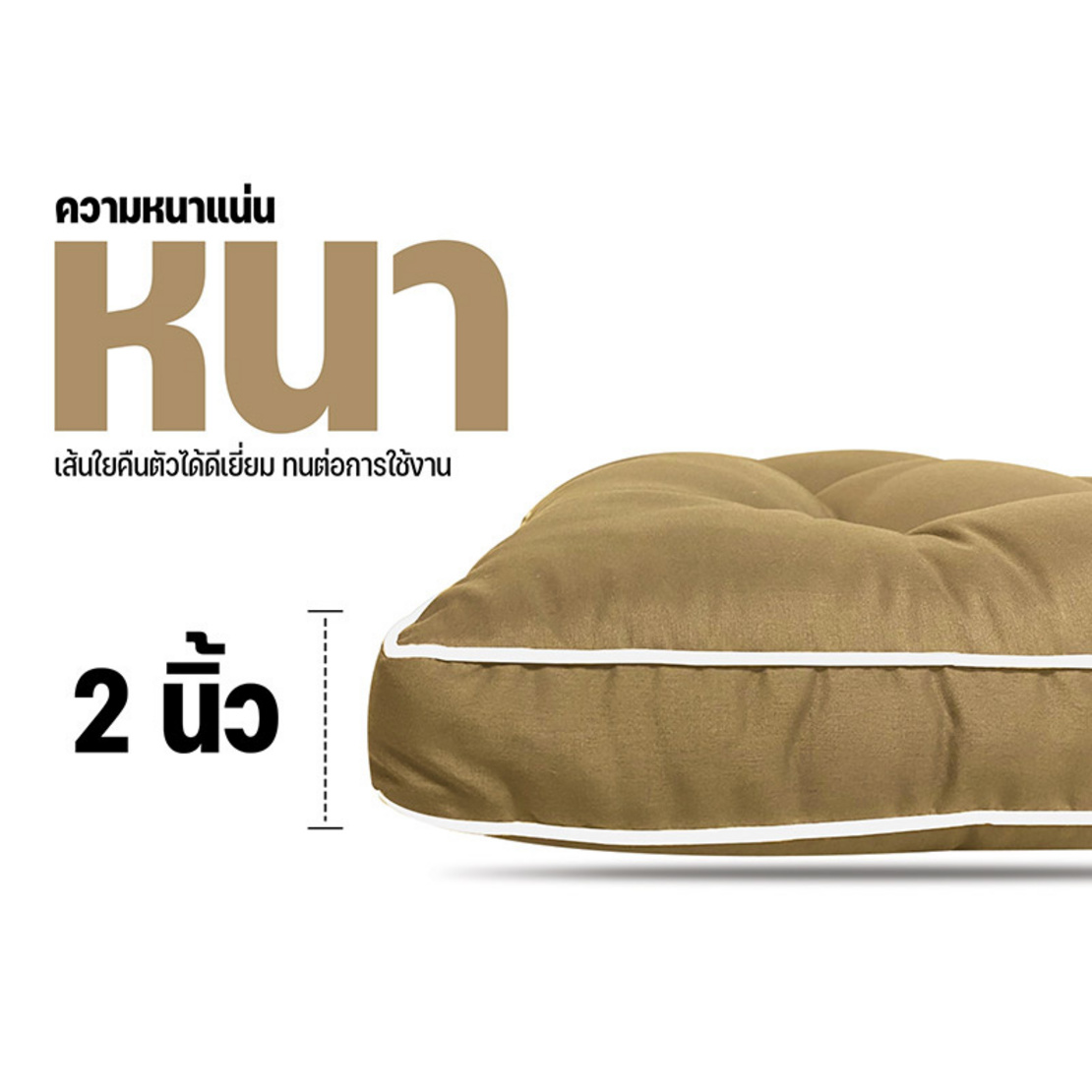 DD Bedding เบาะรองนั่ง รุ่น Carry | AllOnline