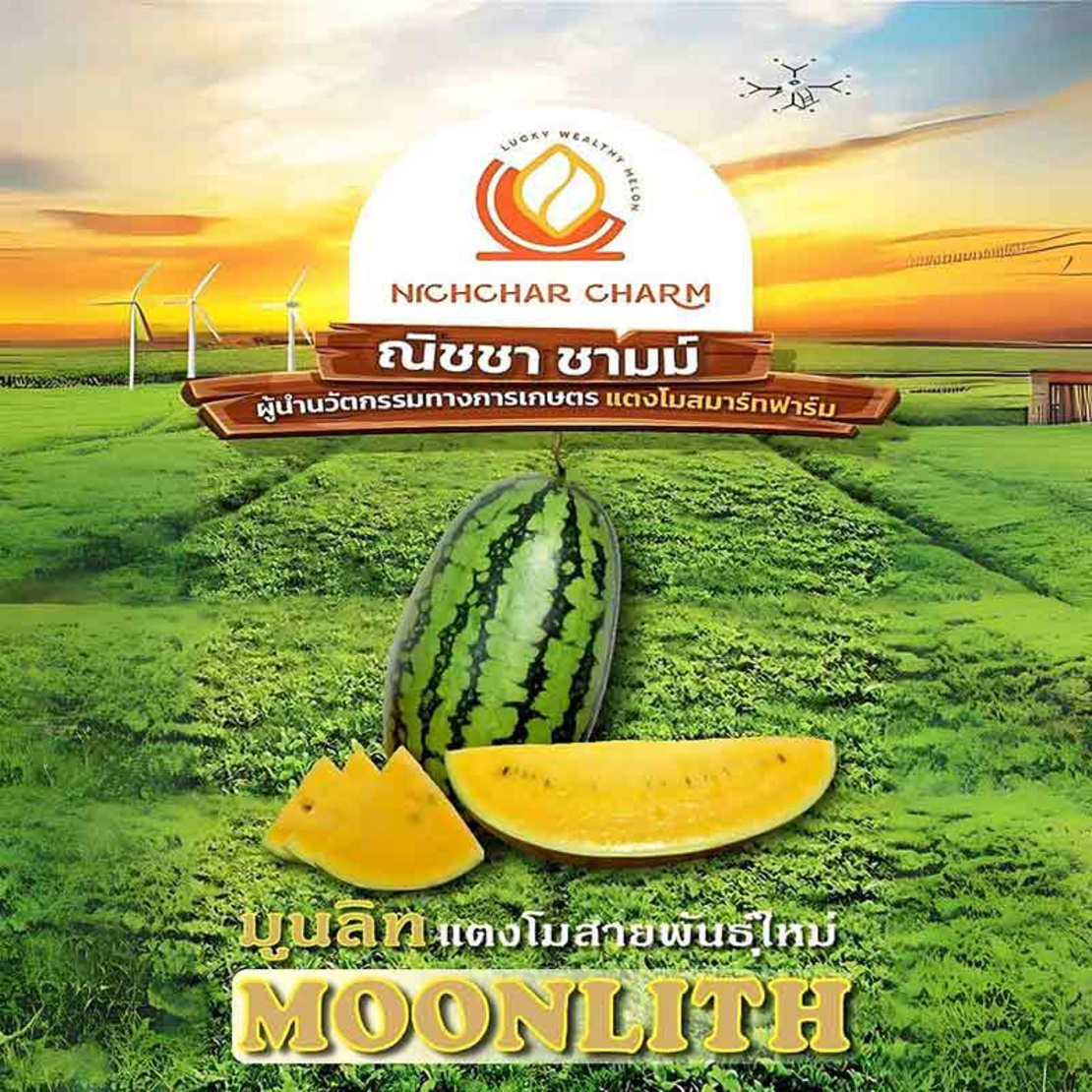 ณิชชาชามม์ แตงโม Moonlith กล่อง 2 ลูก | AllOnline